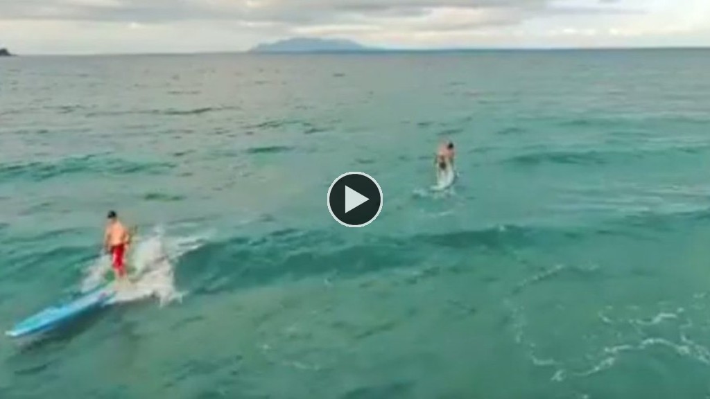 NSP at Omaha Beach with Travis Grant | Free Wings Foils SUP Surf ...