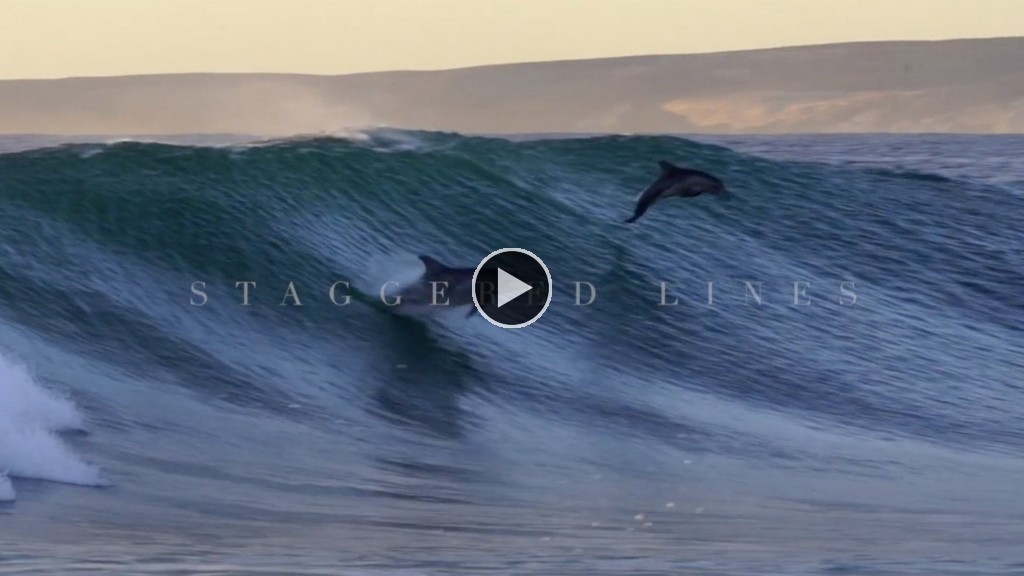 Staggered Lines | Official Movie Trailer by Alasdair Evans | Free Wings ...