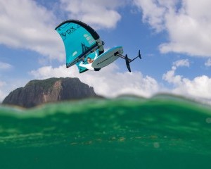 New 2024 Naish Wing-Surfer ADX | Free Wings Foils SUP Surf Magazine ...